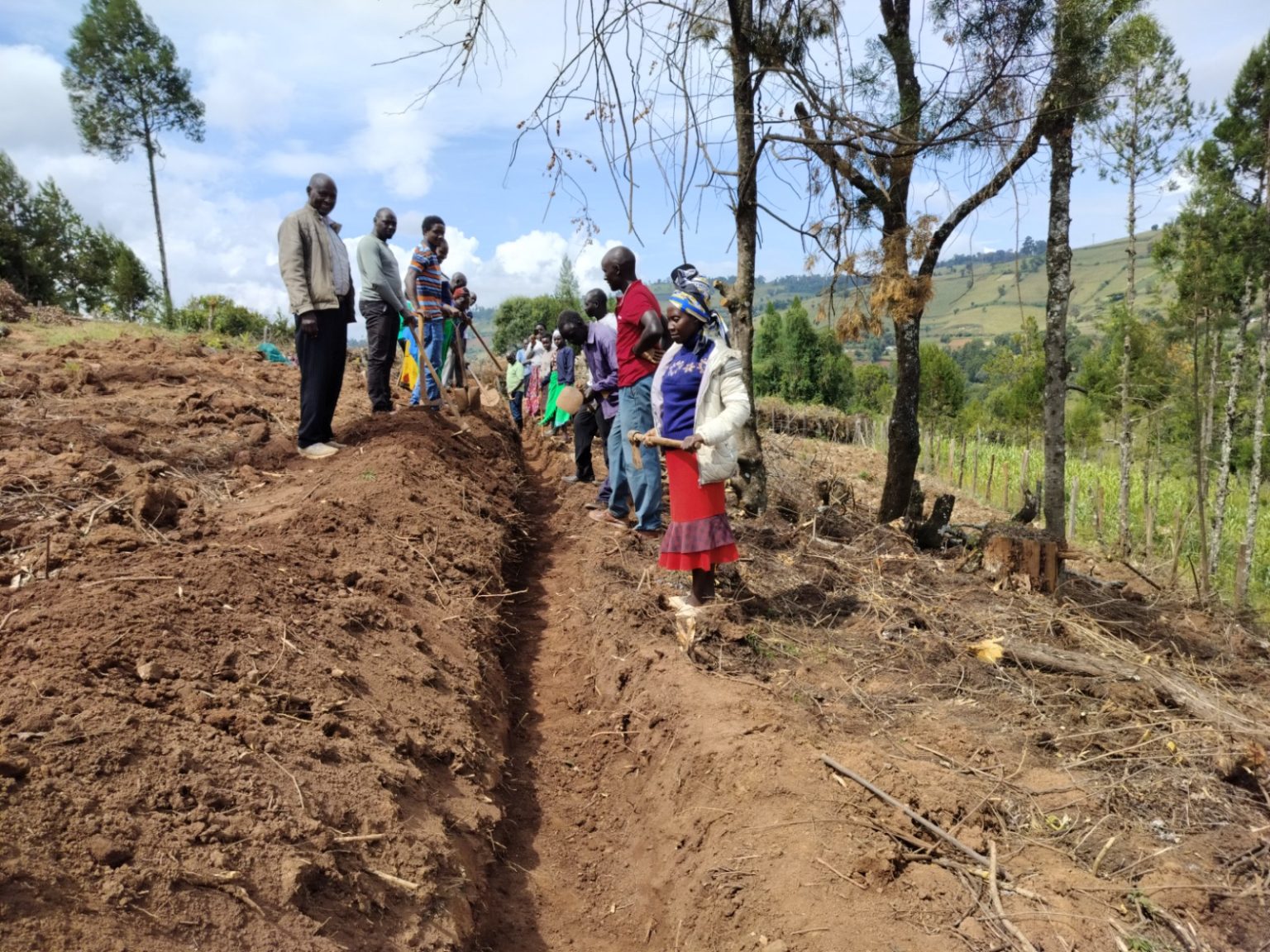 5 Ways Farmer Field Schools (Demo Farms) Transform Livelihoods – ADS ...