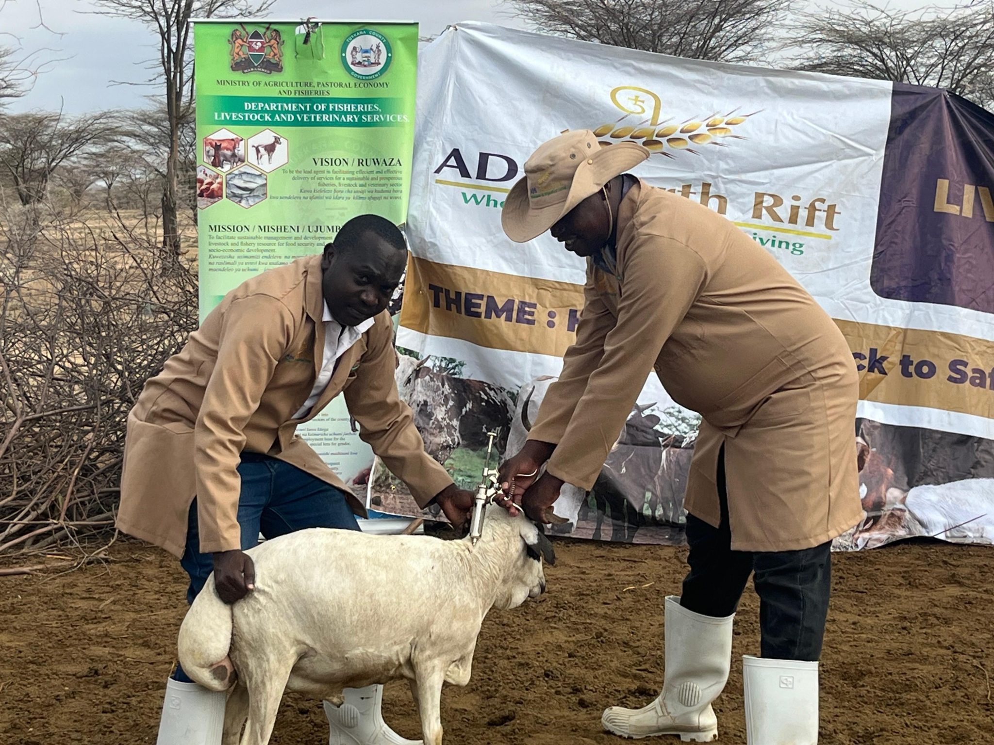 Taking Animal Health Services to the Last Mile in Turkana South – ADS ...